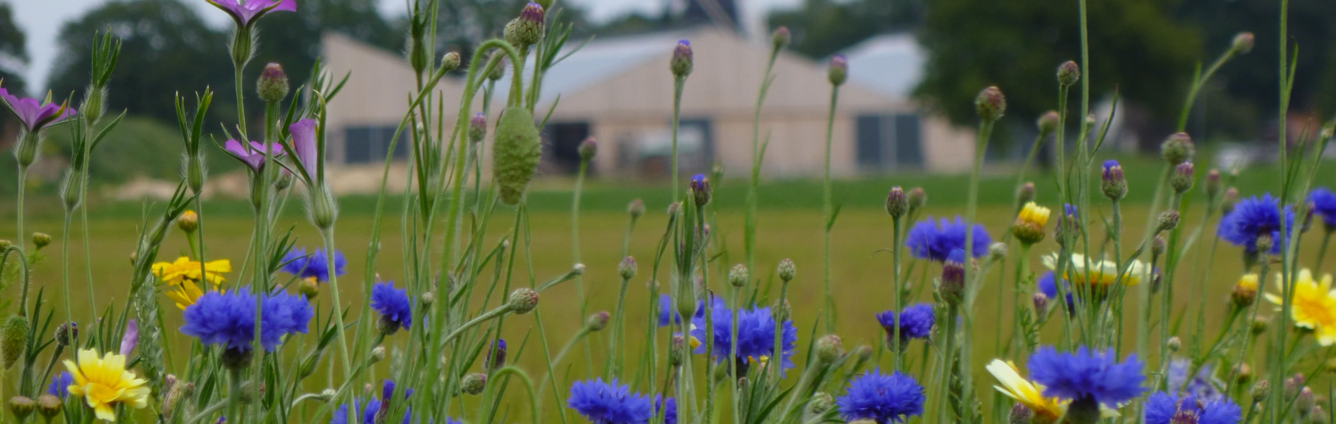 ANOG - Agrarische Natuurvereniging Oost-Groningen